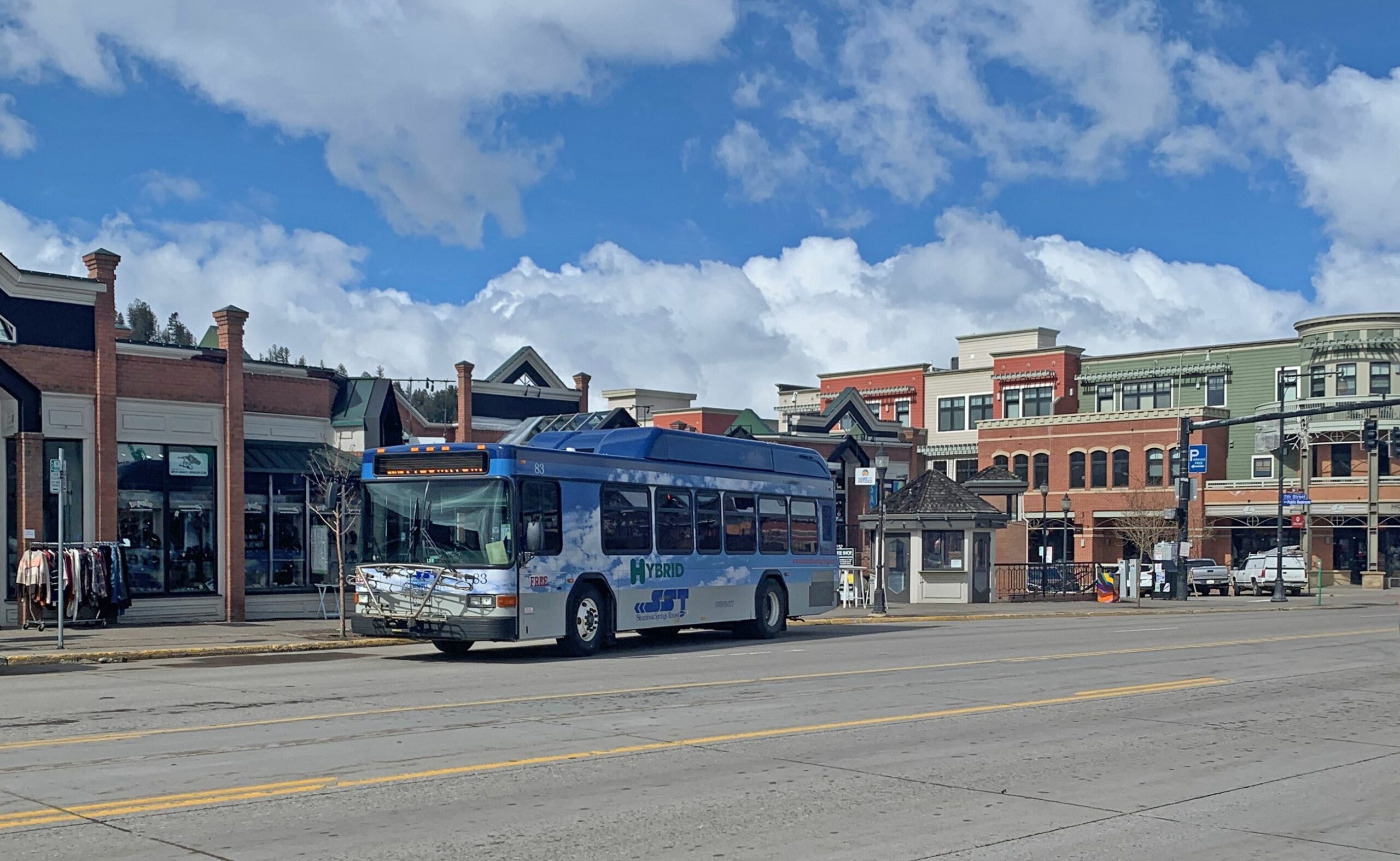 Mobility Management in Small Transit Systems: Innovative Local ...